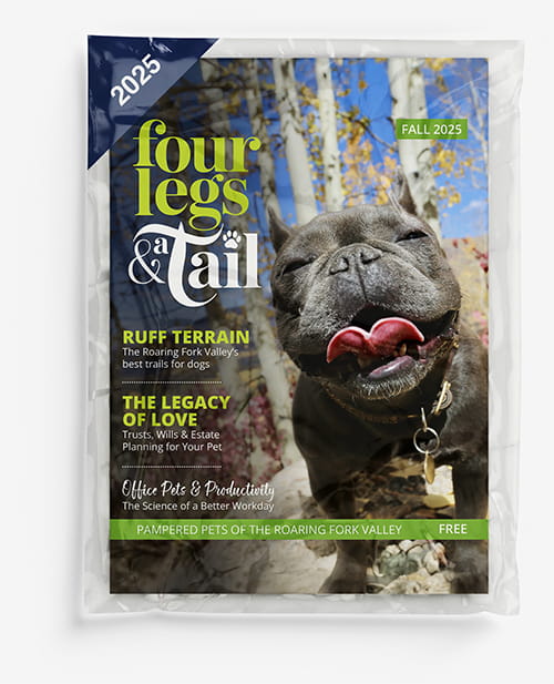 Four Legs & a Tail | Summer 2025 - WDR Aspen